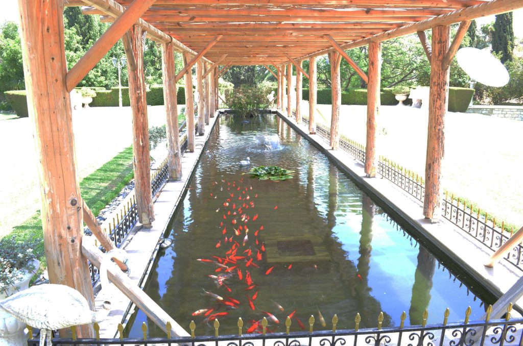 Bio Pool Design for Eco-Friendly Aquatic Recreation for Private ...